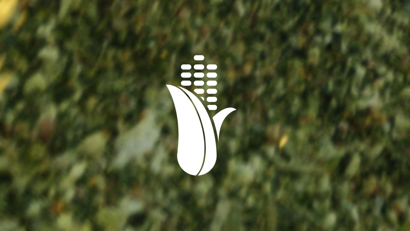 Kuilvoerkwaliteitsgarantie zelfrijdende veldhakselaar | John Deere BE